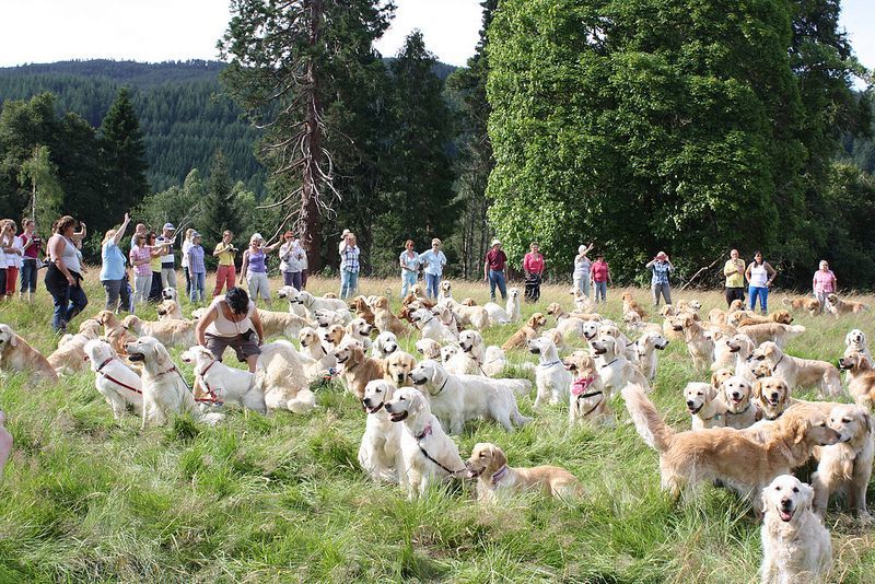 Ini Festival Yang Mungkin Bakal Melumerkan Hati Kamu