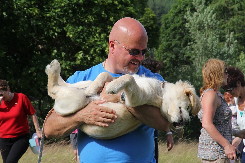 Ini Festival Yang Mungkin Bakal Melumerkan Hati Kamu