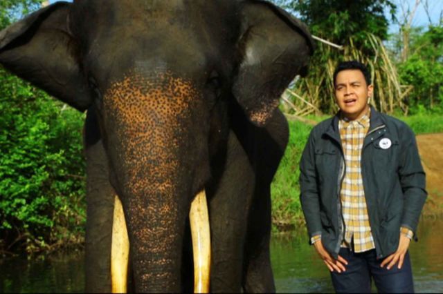 Makna Di Balik Lagu-Lagu Tulus yang Membuatmu Lebih Tangguh Dalam Hidup ...