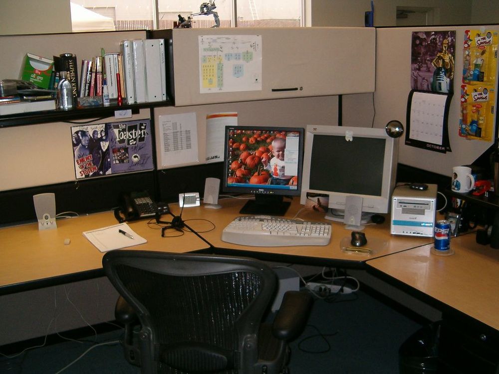 Tips Beradaptasi di Kantor Baru Agar Nyaman dan Pekerjaan Lancar • SoPasti.Com