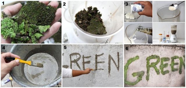 Hanya Bermodal Blender dan Lumut, Grafiti Indah Ala Seniman Handal Bisa ...