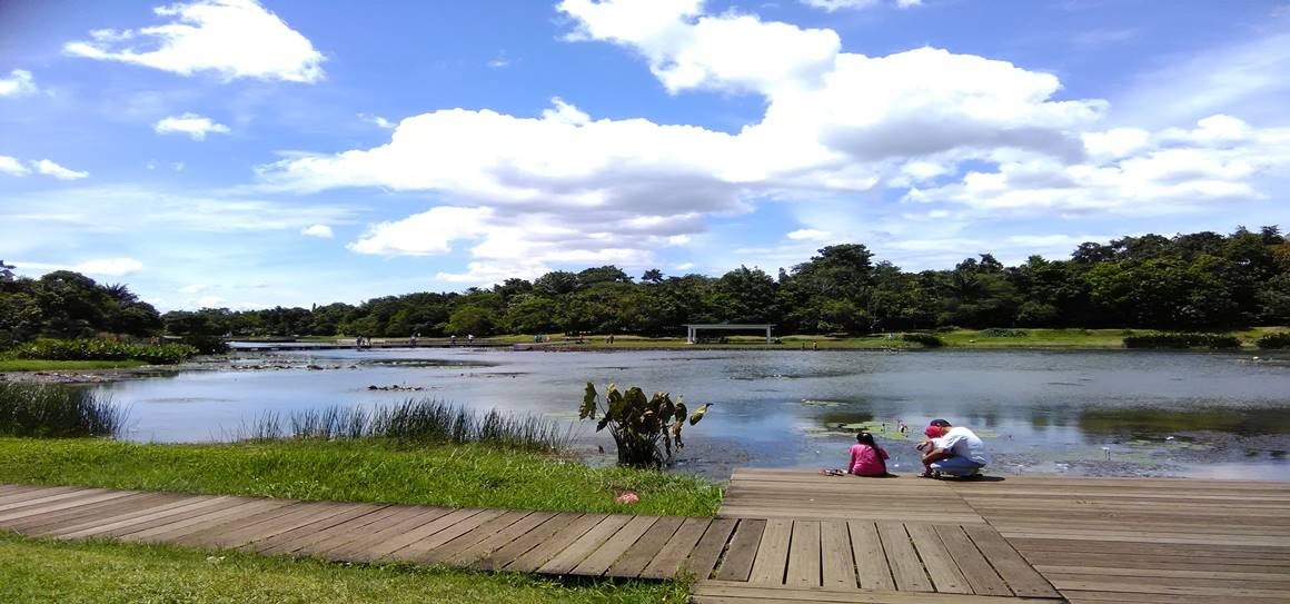 Daftar Tempat Wisata di Bogor yang Banyak Spot Foto