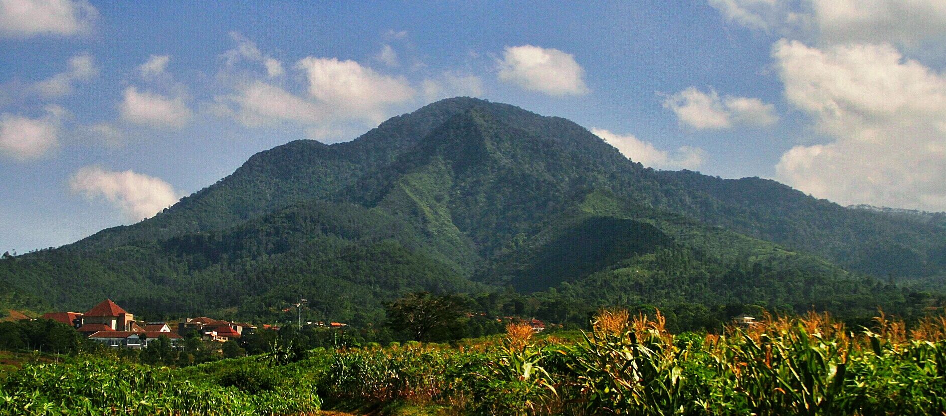 Daftar Air Terjun atau Curug di Jawa Barat yang Indah