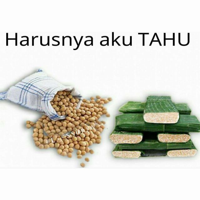 Selain Bisa Dibuat Berbagai Makanan, Ternyata Tahu Juga Bisa Dibuat ...