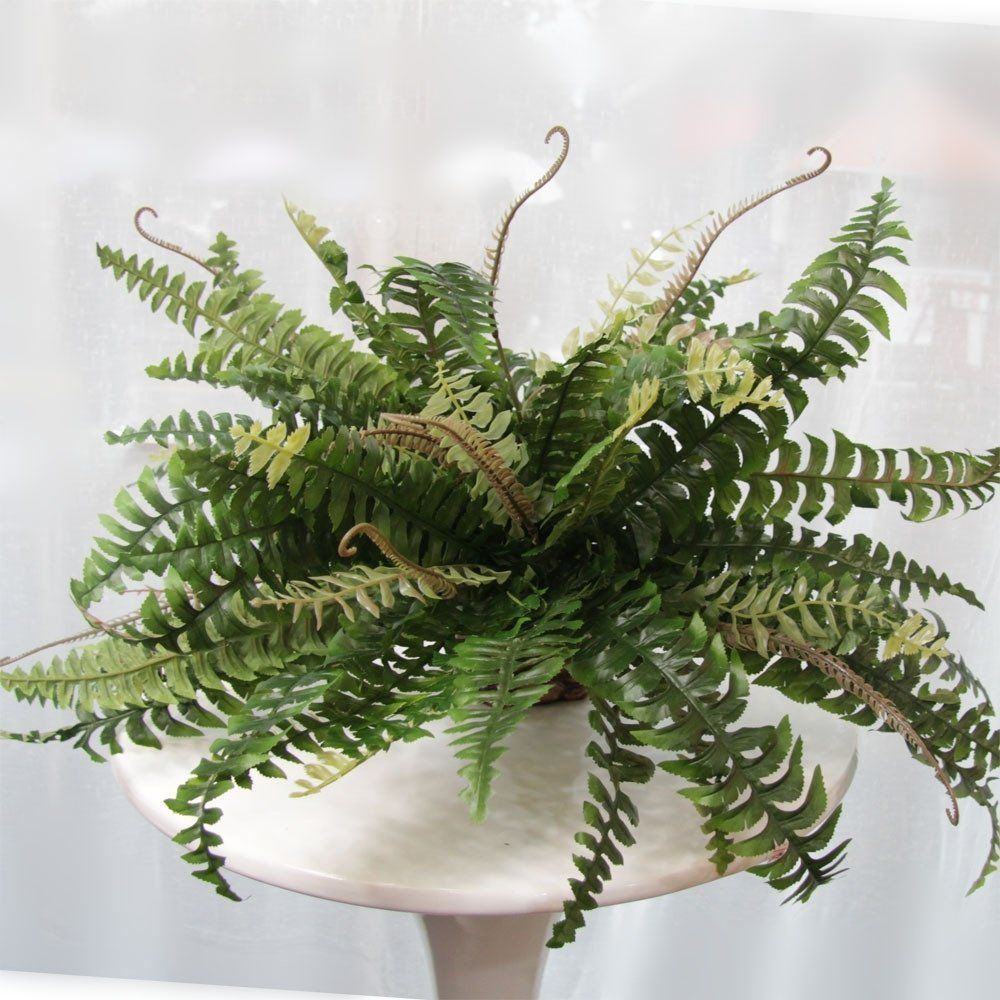 11 Inspirasi Tanaman Hias Mini untuk Meja Kerja, Usir Galau dan Bikin ...