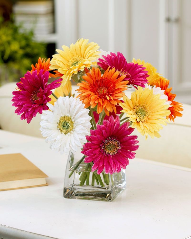 11 Inspirasi Tanaman Hias Mini untuk Meja Kerja, Usir Galau dan Bikin ...