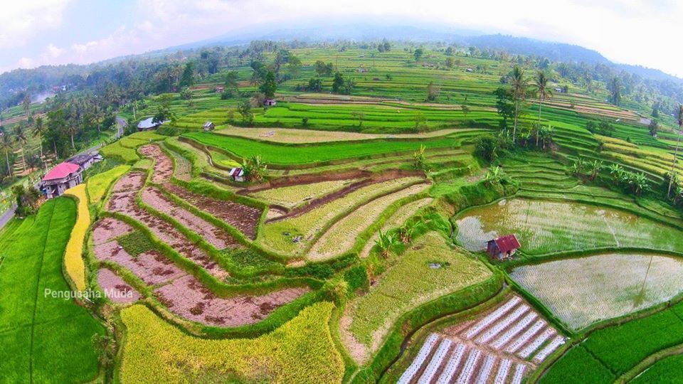 Selain di Bali, Ada Juga Desa Tradisional Nagari Pariangan, yang Masuk ...