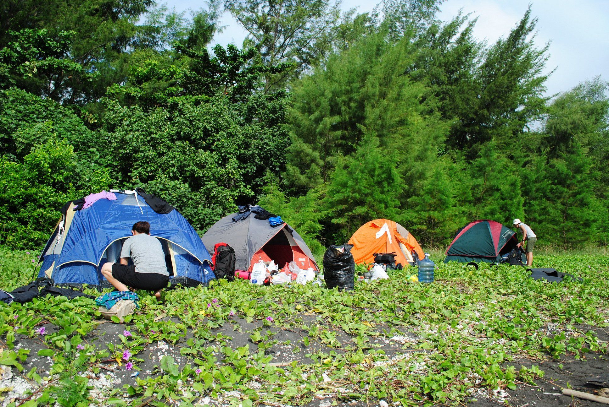 8 Pilihan Spot Camping Ini Lebih Seru, Gunung Sama Pantai Mah Sudah Biasa!