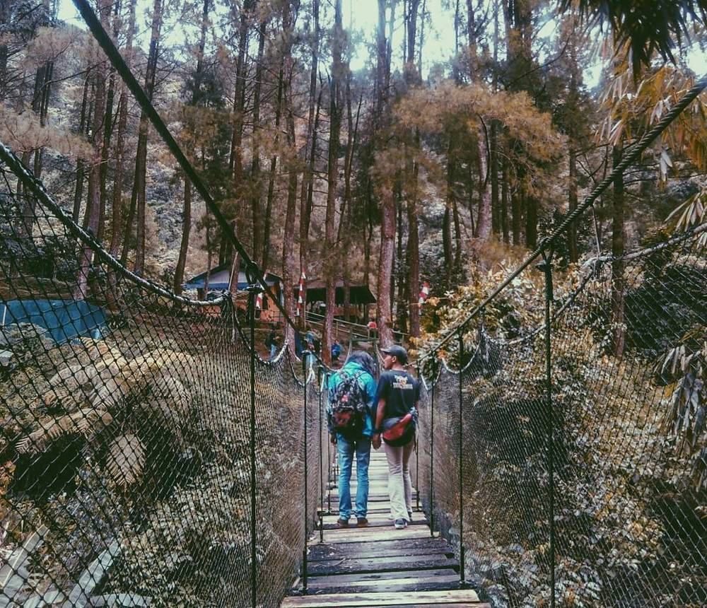 Suaka Elang Loji, Destinasi Instagrammable di Bogor yang Harus Jadi ...