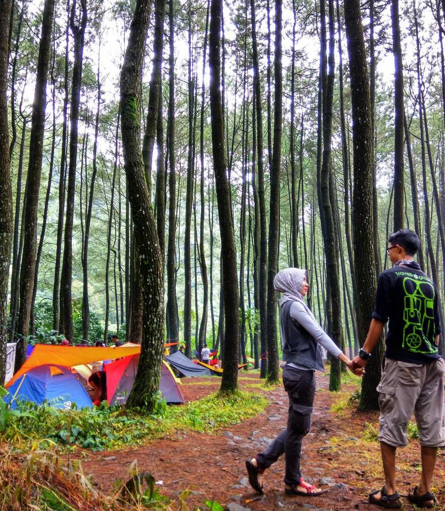 Suaka Elang Loji, Destinasi Instagrammable di Bogor yang Harus Jadi ...