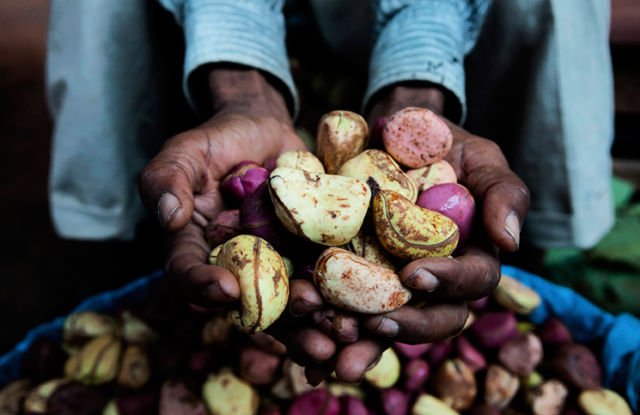 3 Fakta Coca-Cola yang Perlu Kamu Tahu. Meski Ada Di Mana-mana, Minuman ...