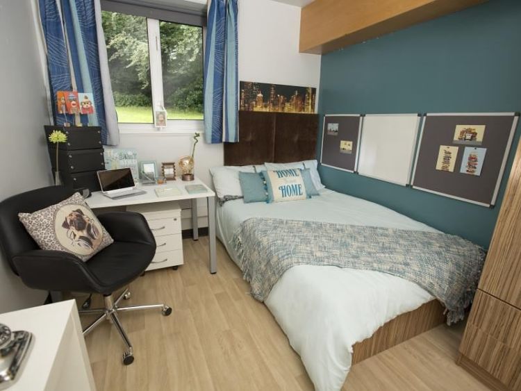 16 Inspirasi Kamar Single Bed yang Lucu dan Nyaman. Cocok Buatmu Anak ...