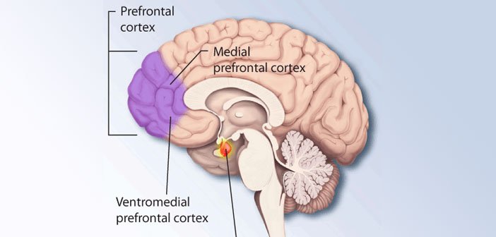 4 Fakta Tentang Tourette, Sindrom yang Sebabkan Tora Sudiro Sampai ...