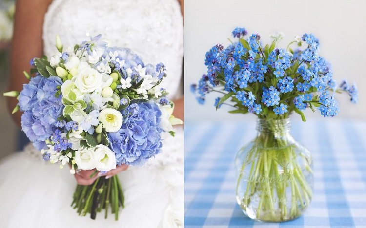 Inilah 8 Jenis Bunga yang Tidak Mudah Layu. Sangat Cocok untuk ...