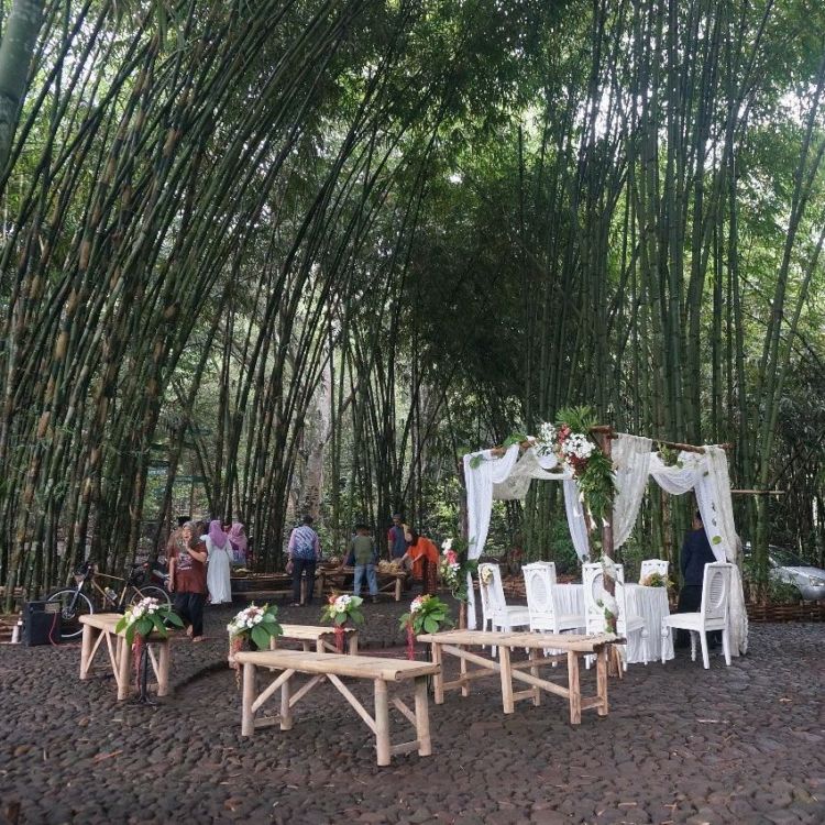 Sensasi Akad & Resepsi di Tengah Kebun Bambu, Terasa Sekali Nuansa ...