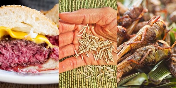 6 Makanan Kita di Masa Depan karena Stok Pangan Makin Krisis. Eh ...