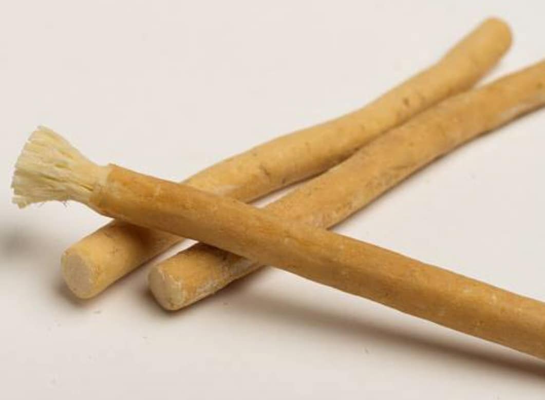 Sebelum Ada Sikat dan Odol, Ranting Kayu Bernama Siwak Inilah yang ...