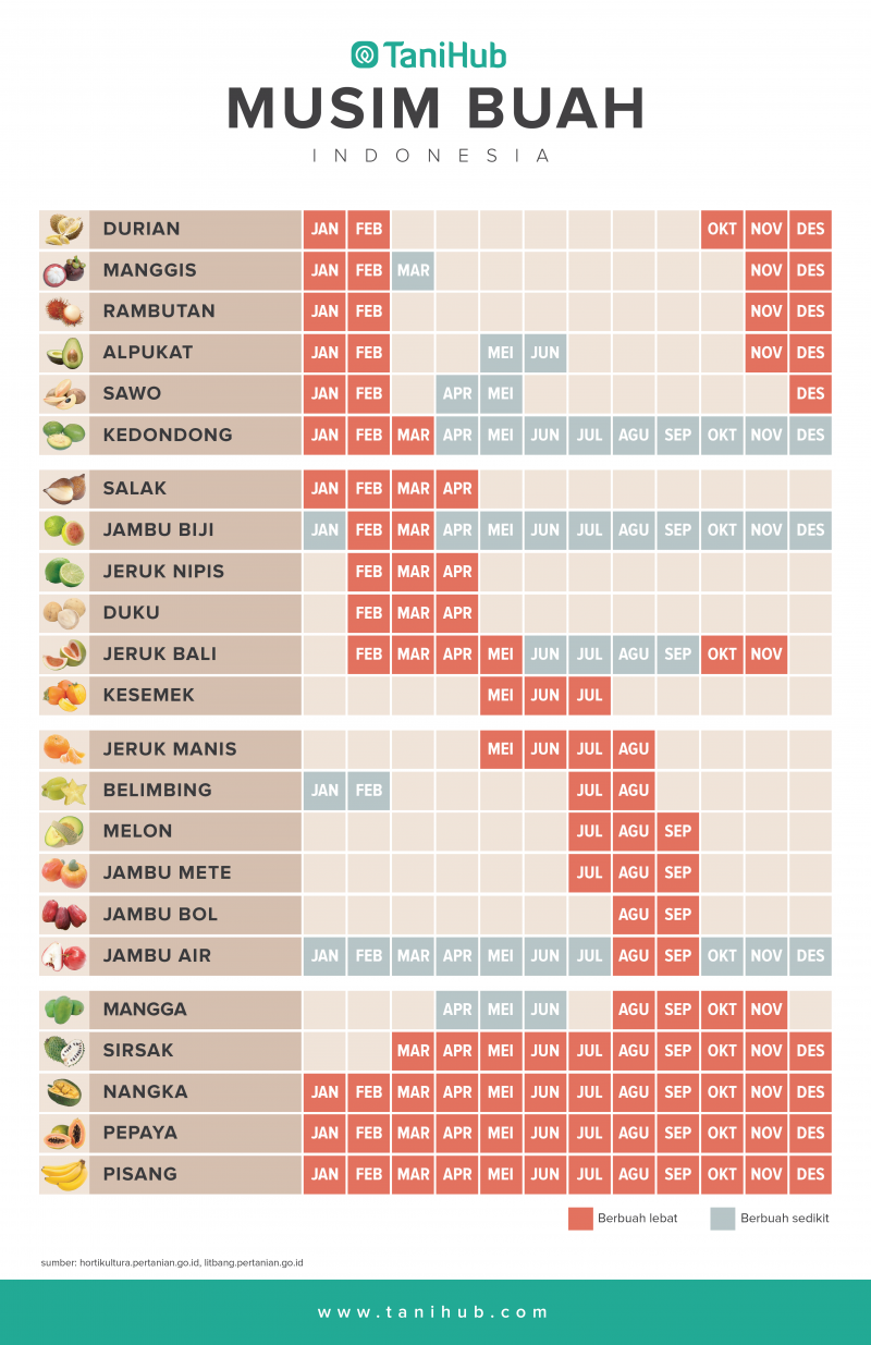 Kalender Musim Buah di Indonesia, Berbagai Jadwal Panen Buah