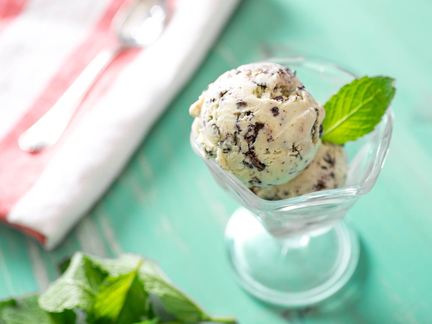 10+ Khasiat Rahasia Daun Spearmint yang Bisa Kamu Manfaatkan. Harga ...