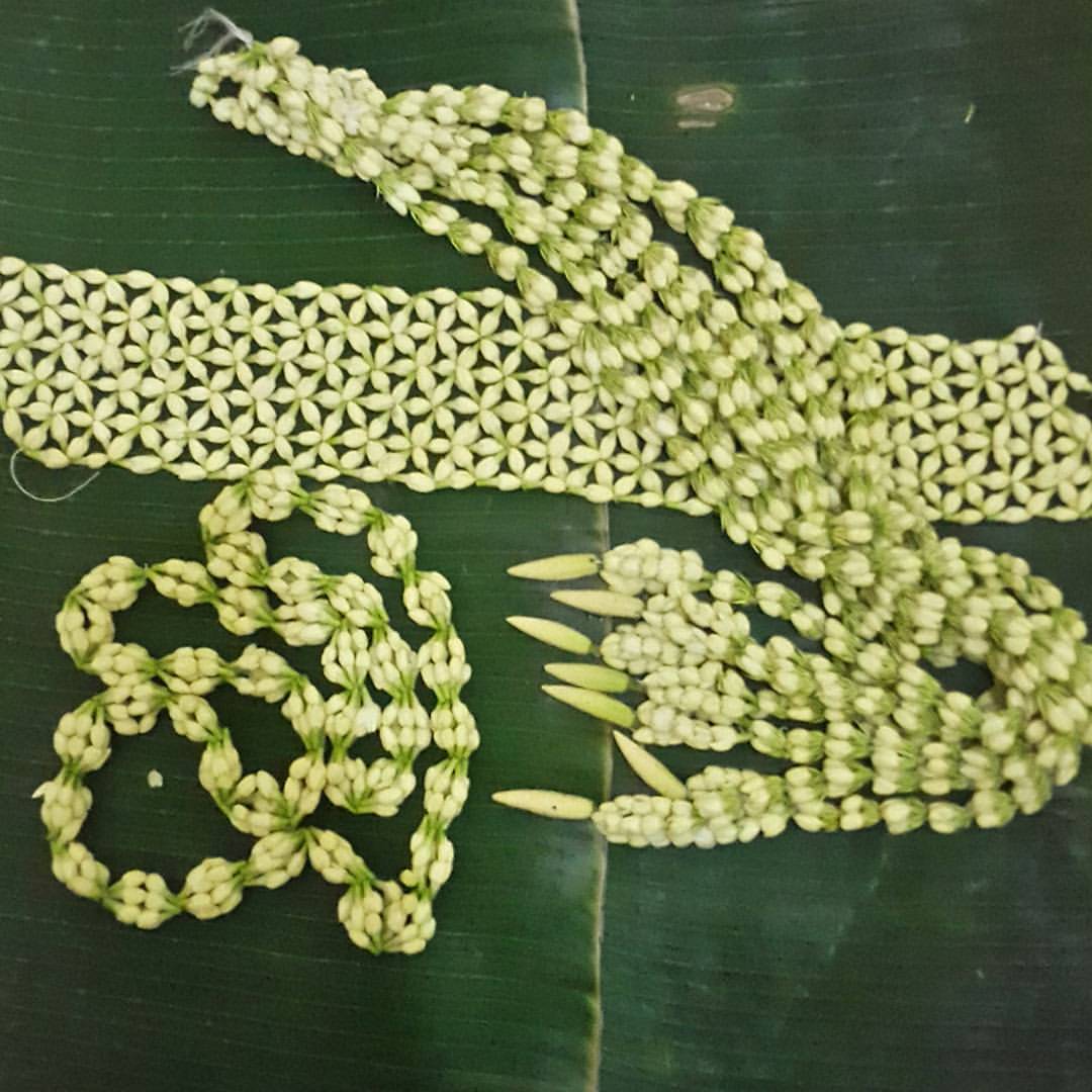 Kata Orang, Mengambil Bunga Melati Pengantin Bikin Enteng Jodoh. Benar ...