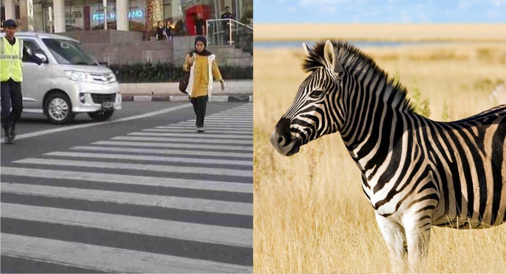 Bukan Zebra dan Pelican Cross Aja, Ini 7 Jenis Penyebrangan Jalan Lain ...