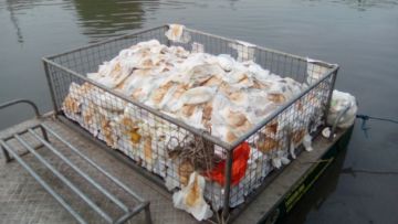 Sungai di Pulau Jawa Darurat Sampah Popok. Seharusnya Limbah Diolah ...