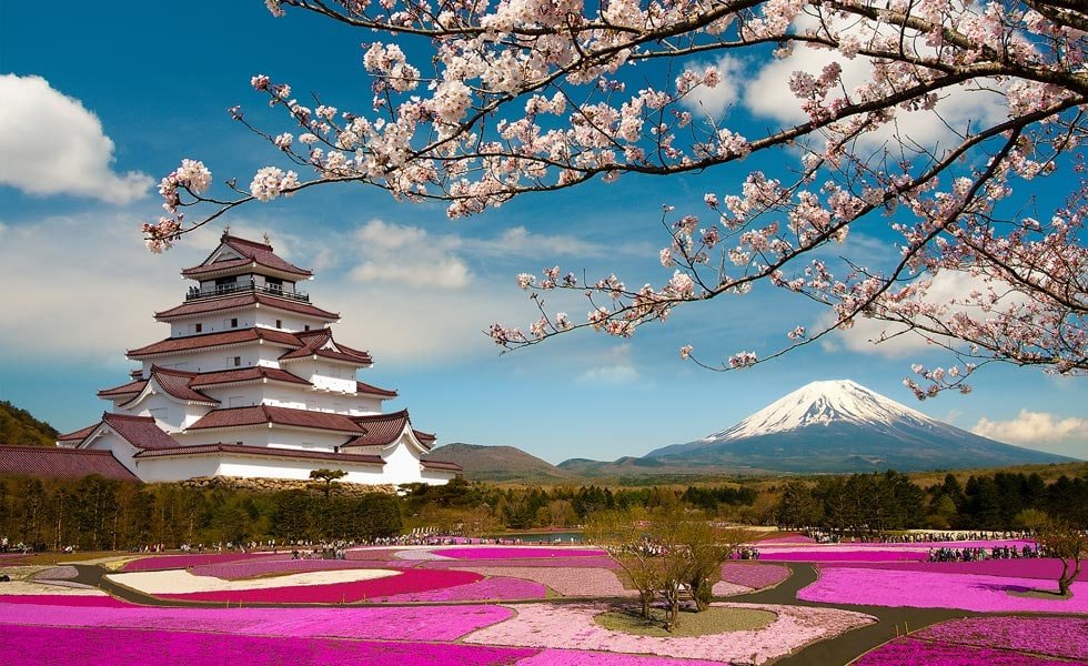 Panduan Praktis Bikin Visa ke Jepang. Biar Liburan ke Negeri Sakura Tak ...