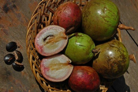 Yuk, Kita Mengenal Varian Buah Langka yang Ada di Indonesia