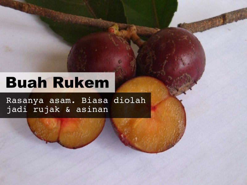 8 Buah Asli Indonesia yang Namanya Masih Jarang Dikenal. Padahal Enak ...