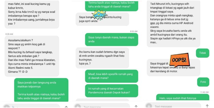 Kucing Kesayangan Hilang, si Penemu Minta Imbalan Berupa Ponsel pada ...