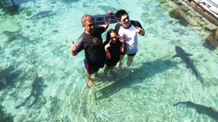 Misteri 110 Ikan Hiu Mati Mendadak di Penangkaran Karimunjawa. WWF: Hiu ... Misteri 110 Ikan Hiu Mati Mendadak di Penangkaran Karimunjawa. WWF: Hiu ...