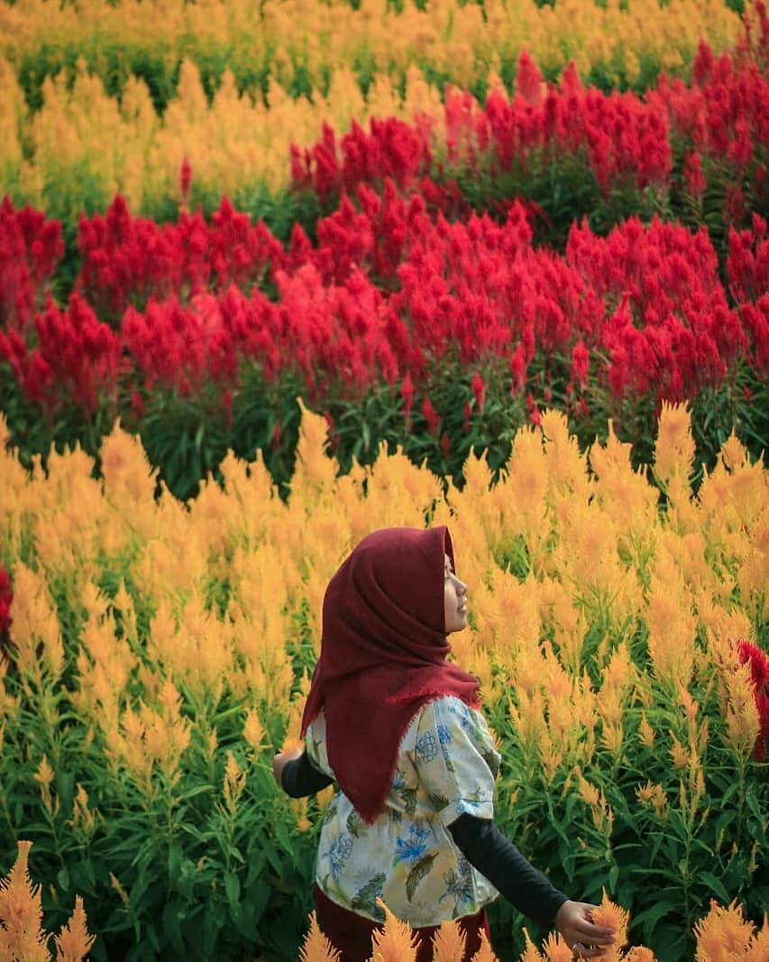 Setelah Pemilu Usai, Yuk Liburan ke 8 Destinasi Hits di Jogja. Biar ...