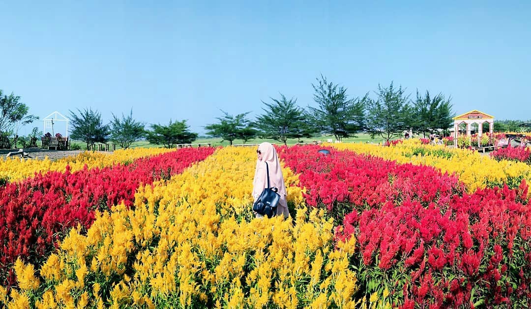Menikmati Suasana Pedesaan Asri di Perengan Park, Bantul. Destinasi ...