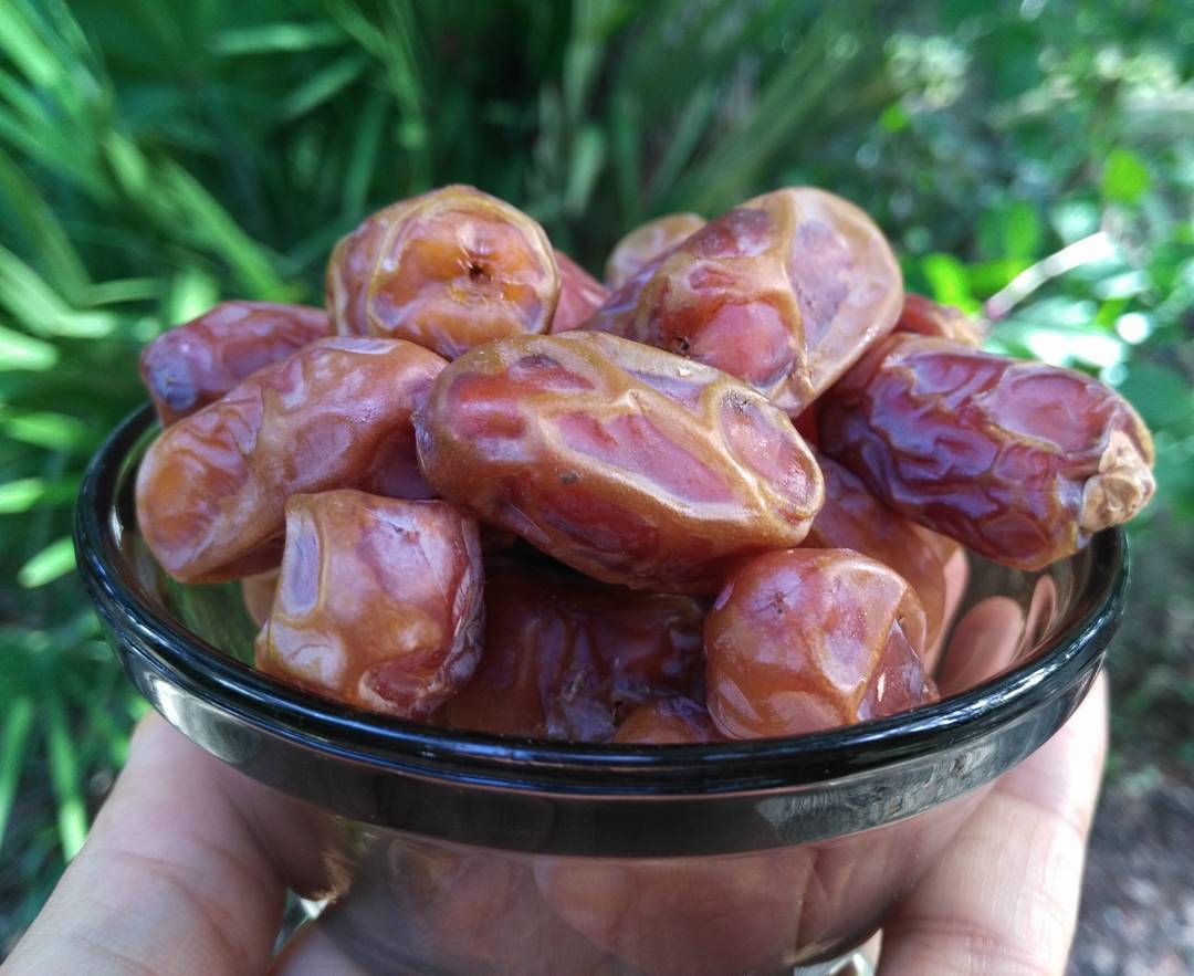 Ada Banyak Banget Varian Kurma, Tapi yang 9 ini Setidaknya Kamu Tahu ...
