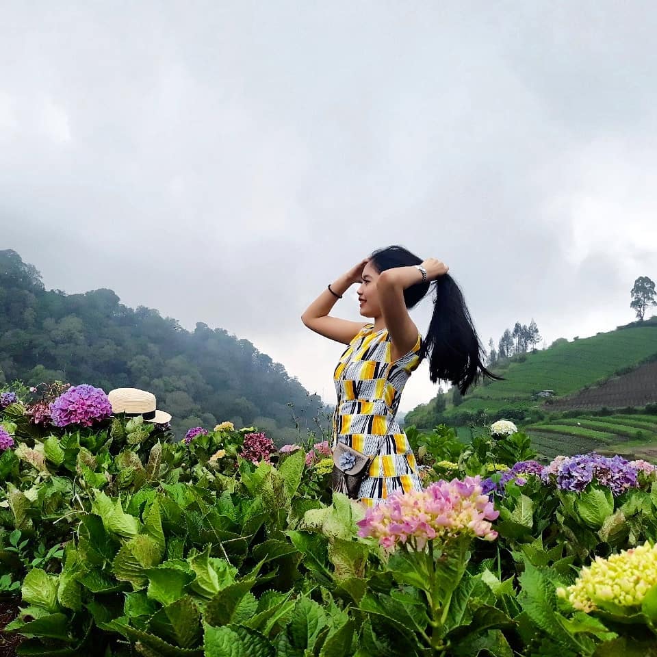 Arboretum Sumber Brantas, Destinasi Wisata di Batu yang Menyajikan ...