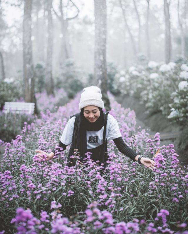 Pagupon Camp, Penginapan Unik yang Ngehits di Coban Talun, Malang ...