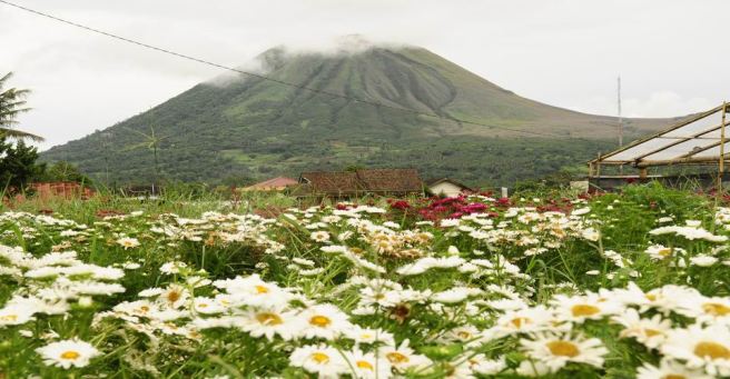 Jelajahi 8 Destinasi Wisata di Tomohon, Kota Bunga di Sulawesi Utara ...