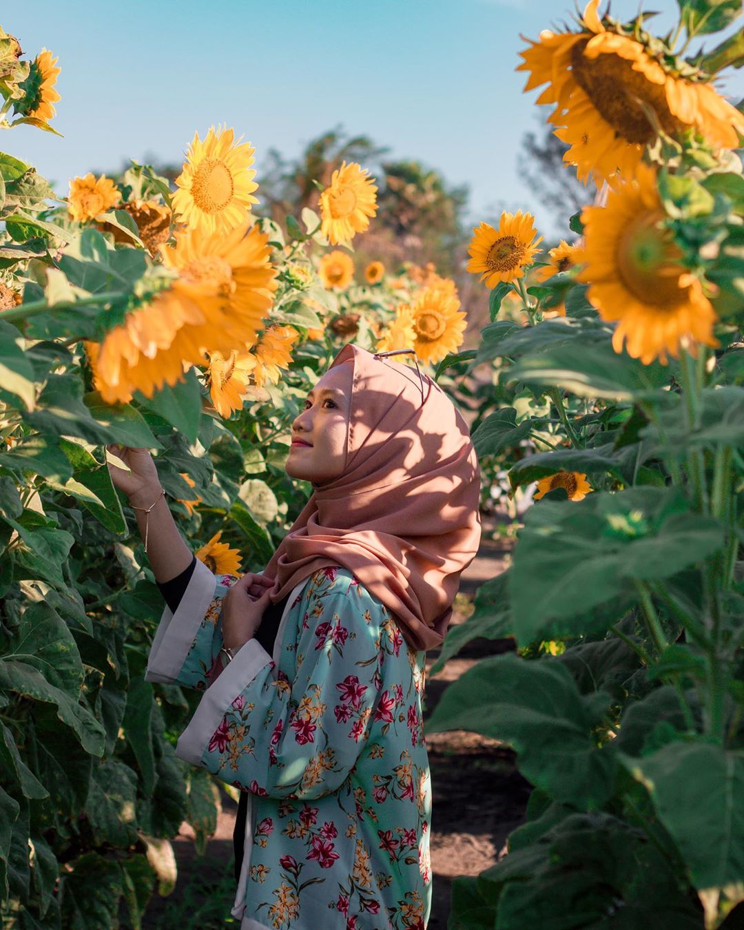 Romantic Garden, Taman Bunga Warna-warni yang Lagi Hits di Bantul. Duh ...