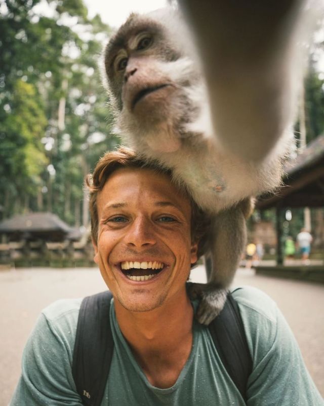 Trik Sederhana Foto Selfie Sama Monyet di Monkey Forest Ubud. Ternyata ...