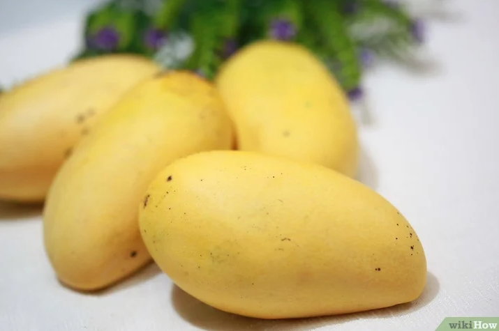 4 Tips Agar Mangga Cepat Matang. Nggak Perlu Menunggu Lama atau ...