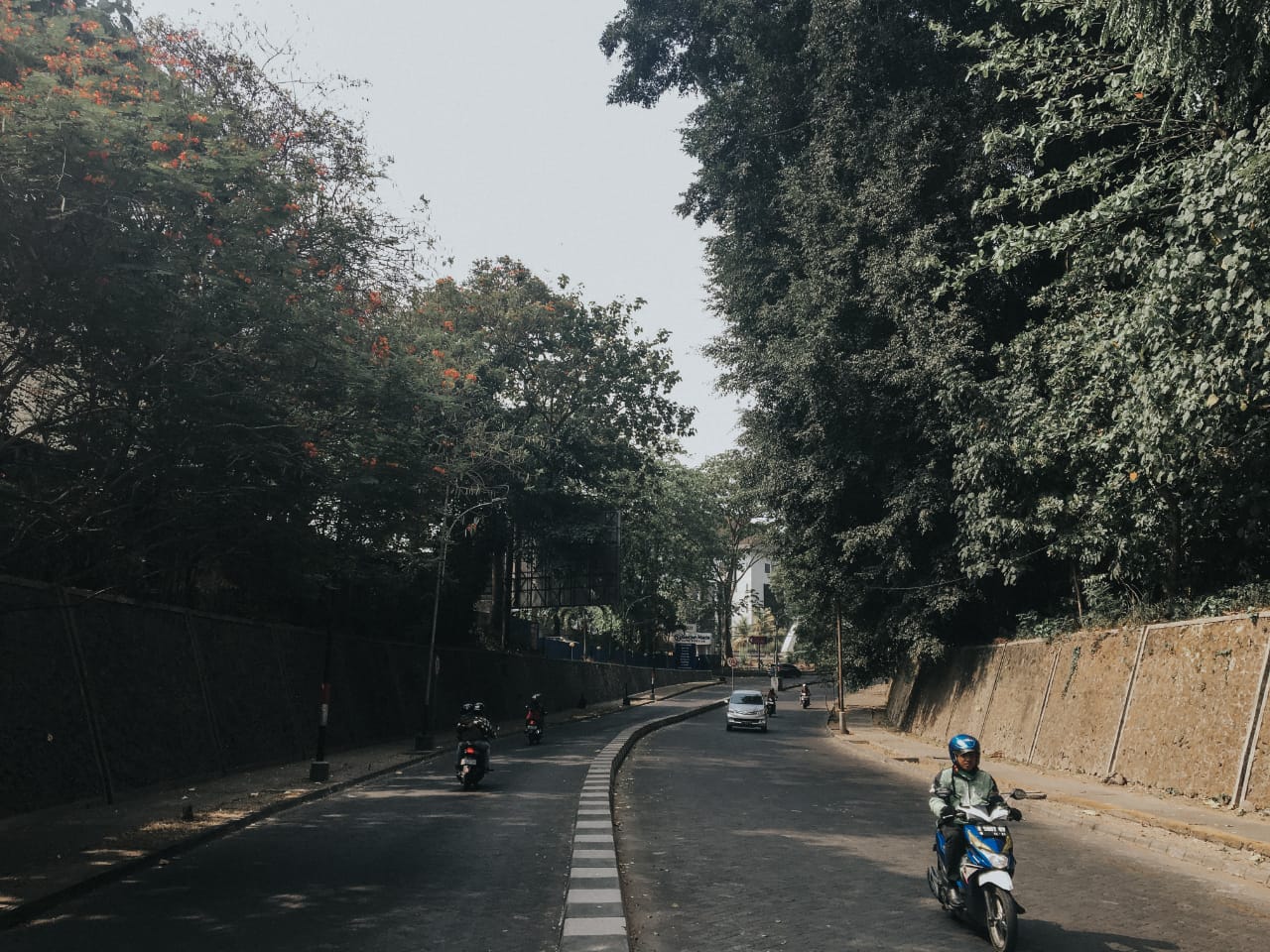 Horornya yang Hobi Lewat Bunderan Hutan UGM: Bau Wangi sampai Hantu ...