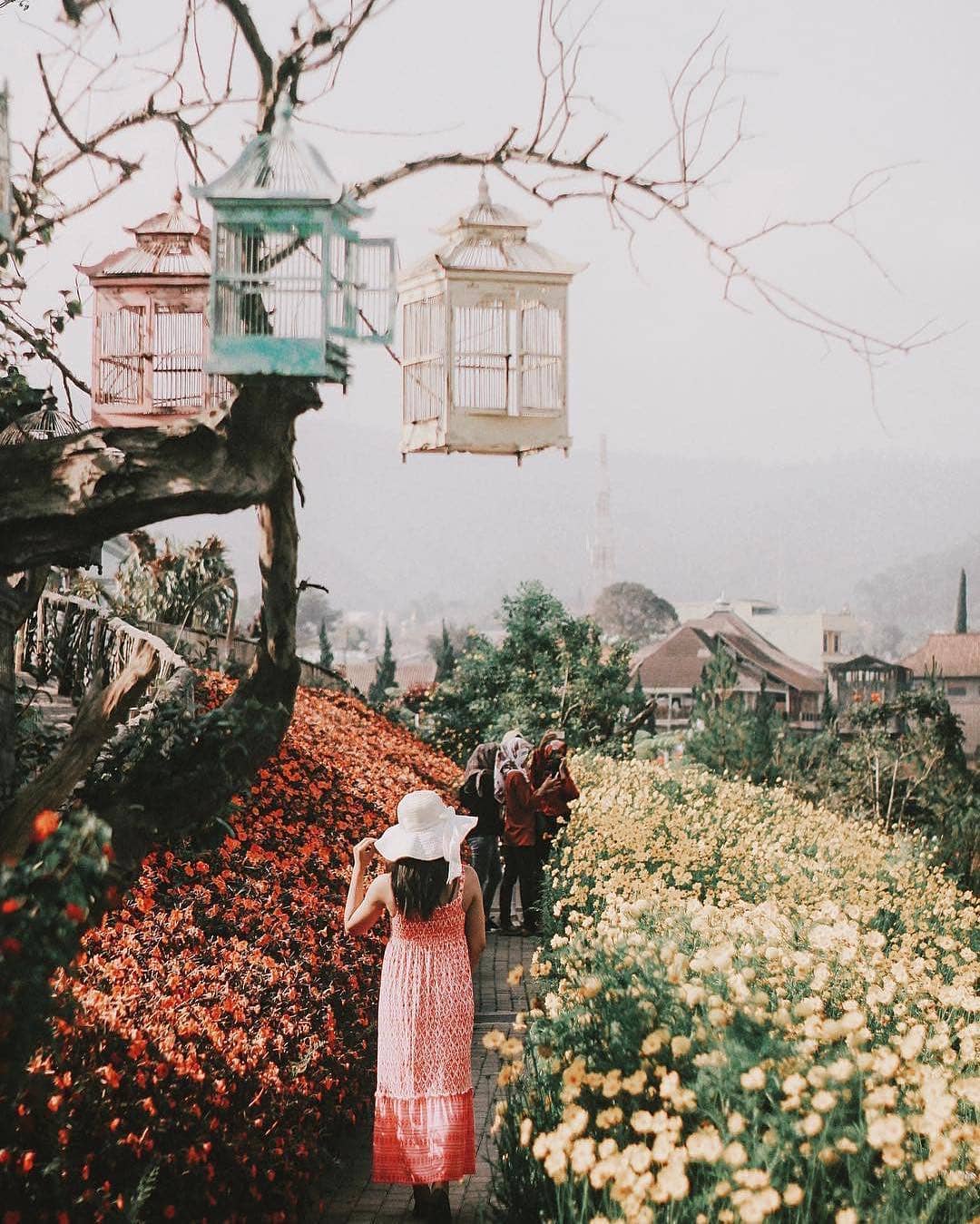 Rainbow Garden Floating Market, Destinasi Hits dengan Bunga Warna Warni ...
