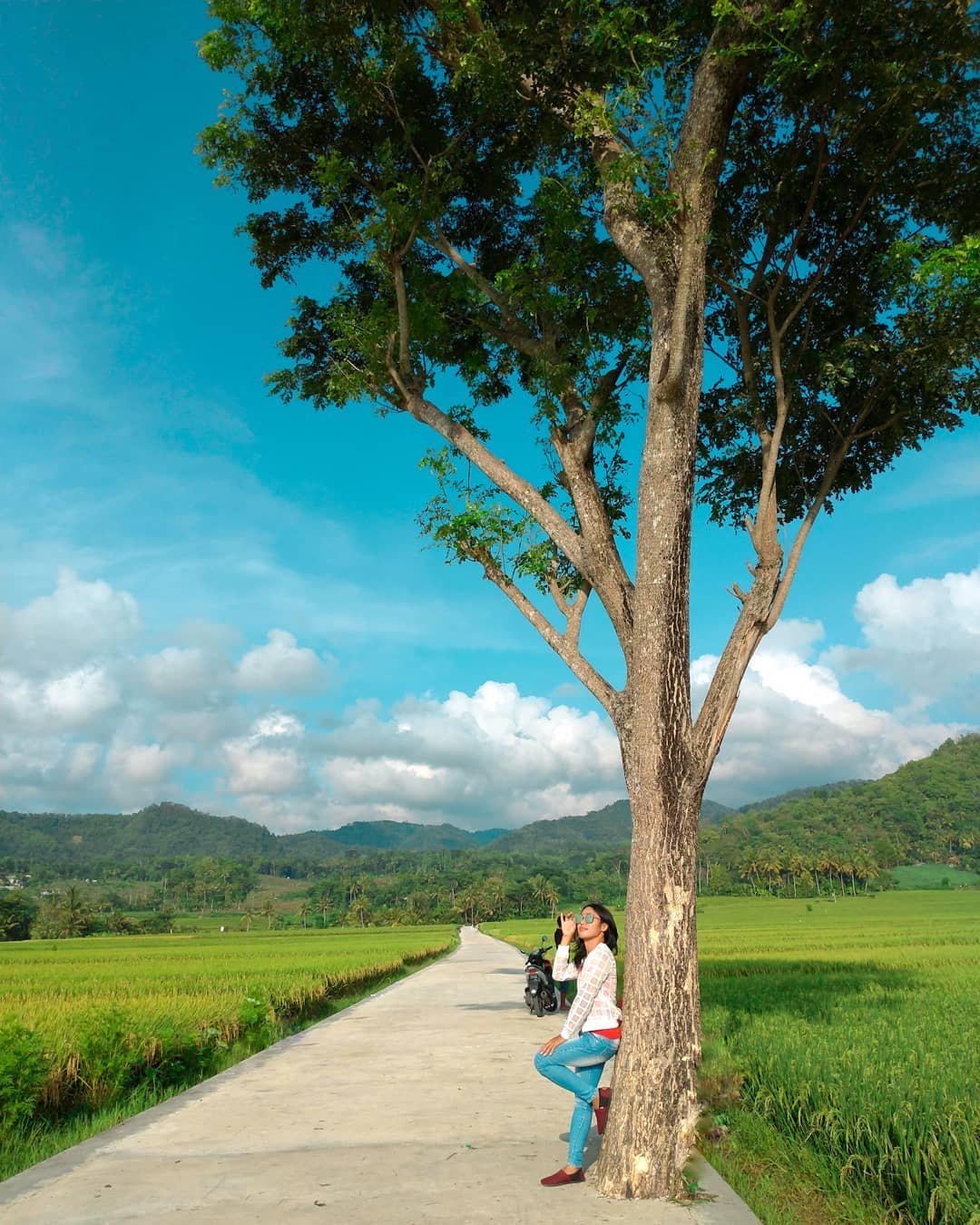 Viral, Indahnya Persawahan nan Hijau di Nanggulan Kulonprogo. Destinasi ...
