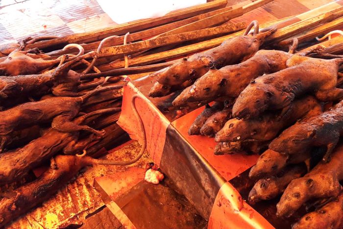 Hindari Virus Corona, Pasar Tomohon di Sulawesi Utara Berhenti Jual ... Hindari Virus Corona, Pasar Tomohon di Sulawesi Utara Berhenti Jual ...