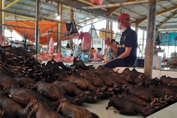Hindari Virus Corona, Pasar Tomohon di Sulawesi Utara Berhenti Jual ... Hindari Virus Corona, Pasar Tomohon di Sulawesi Utara Berhenti Jual ...