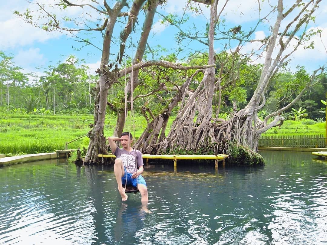 Wisata Mata Air Telogo Sari, Surga Tersembunyi di Magelang yang Bikin ...