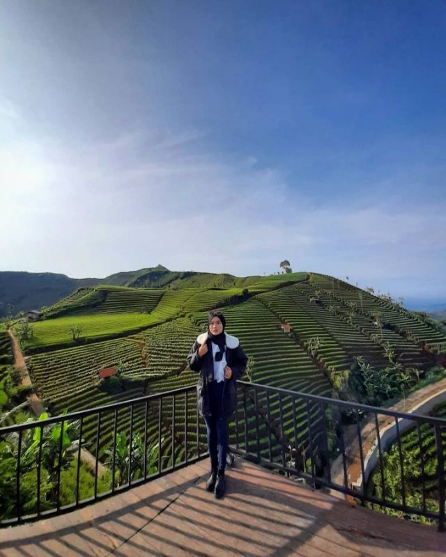 Terasering Panyaweuyan, Destinasi yang Lagi Hits di Majalengka. Begitu ...