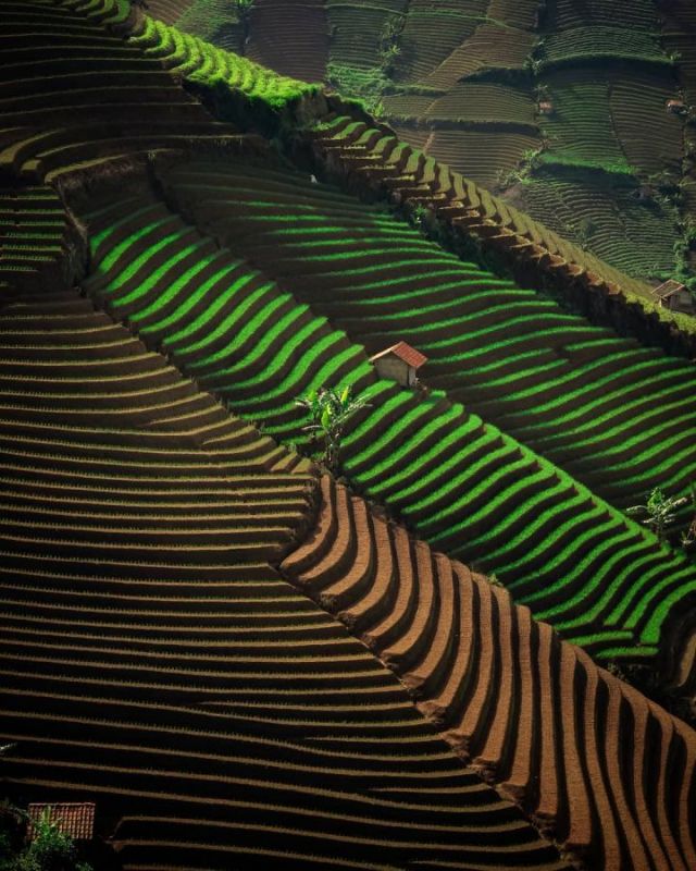 Terasering Panyaweuyan, Destinasi yang Lagi Hits di Majalengka. Begitu ...