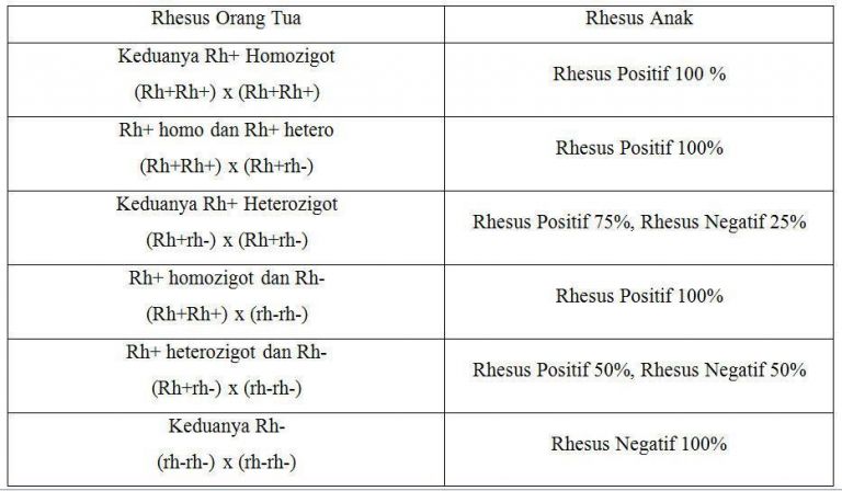 Anak Bisa Beda Golongan Darah dengan Orang Tua? Begini lo Rumus untuk ...