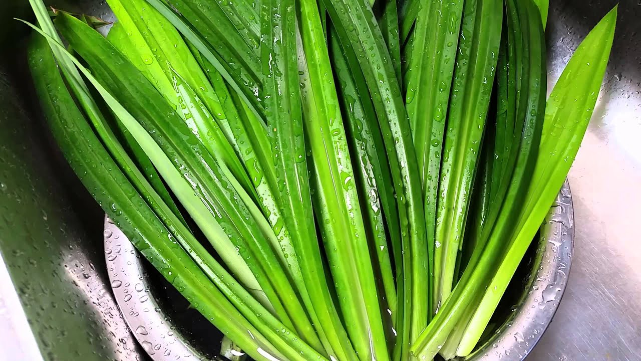 11 Jenis Daun-daunan Pelengkap Masakan, Menambah Aroma Kuat dan Cita ...